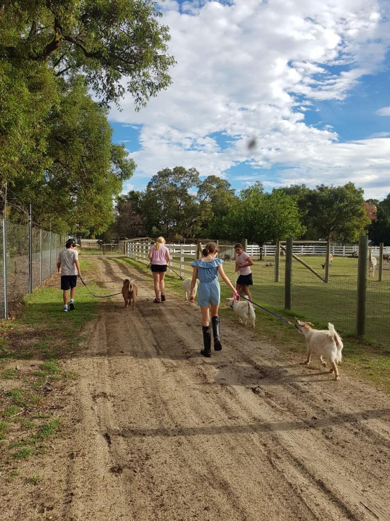 Top 20 things to do on a rainy day in Perth