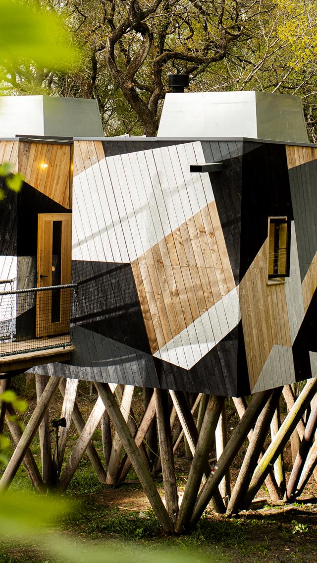 treehouse digital bournemouth