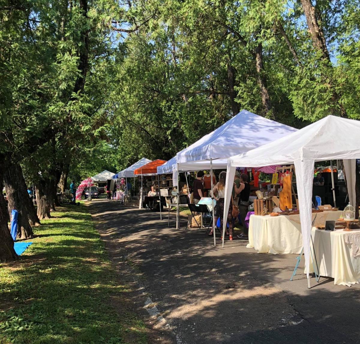 5 Reasons You Should Attend Vestival! | Vendors & Performers