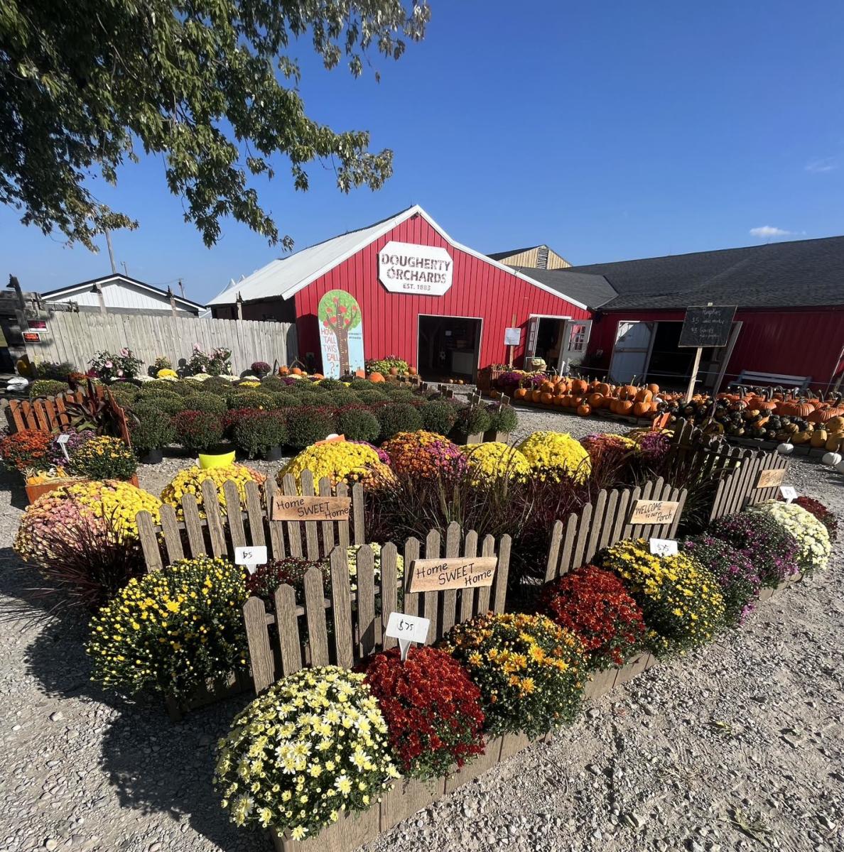fall orchards indiana