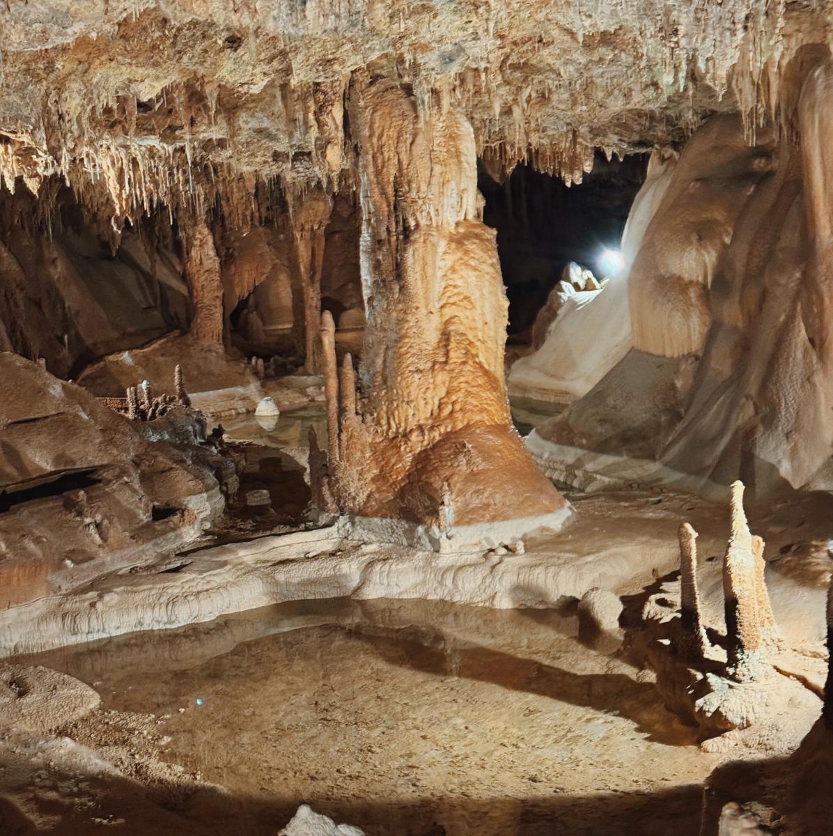 Explore the Underground Caves at Inner Space Cavern in Georgetown, Texas