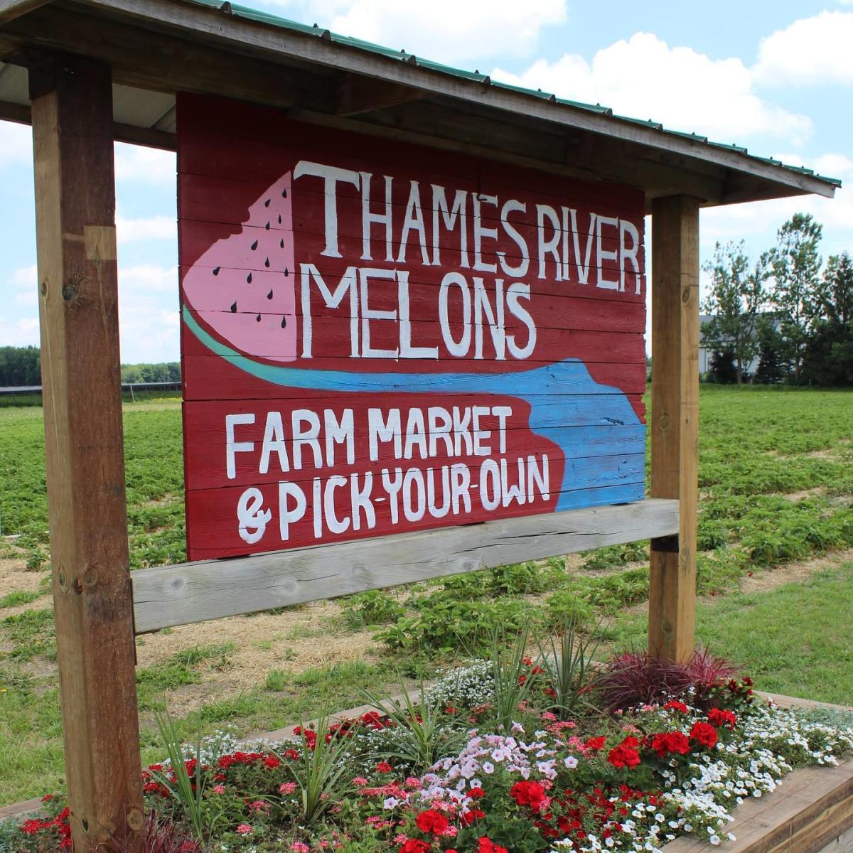 thames river melons