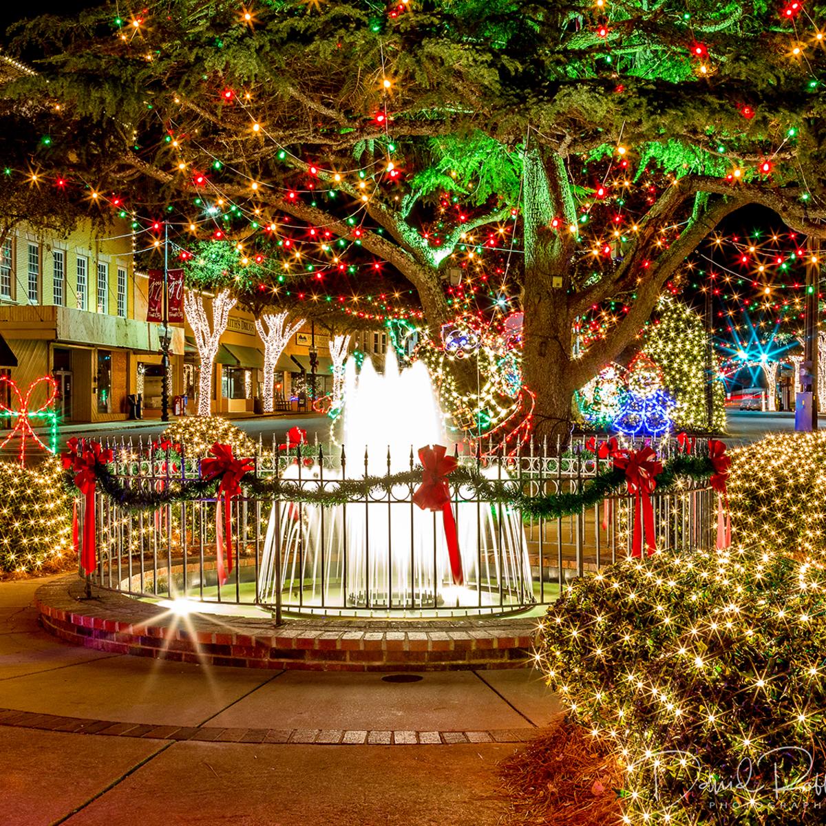 Winter Itinerary | A Seasonal Guide to the Blue Ridge Foothills