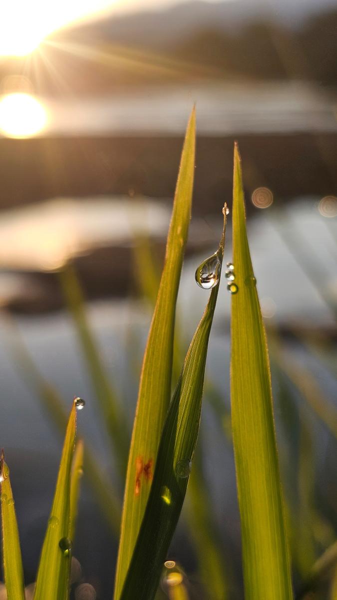 New Mexico Magazine Photo Awards: Mobile Winners