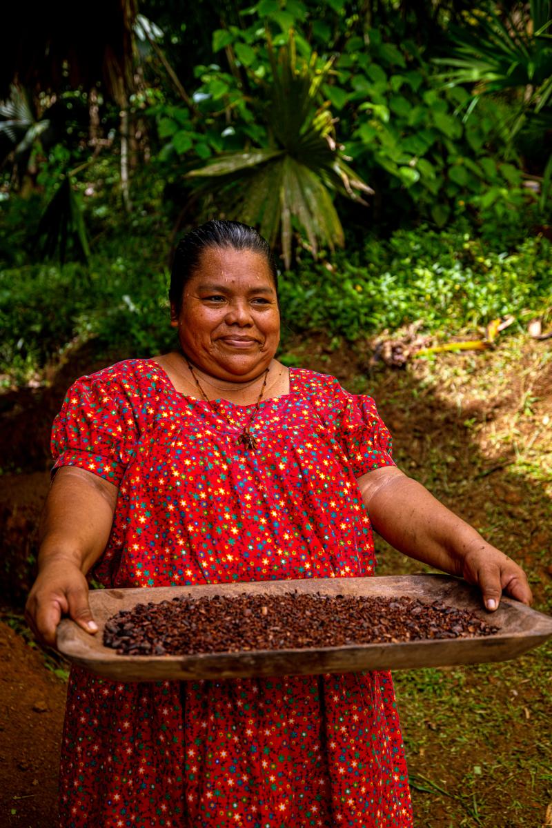 Cacao Tours en Bocas del Toro | Chocolate Artesanal & Tours