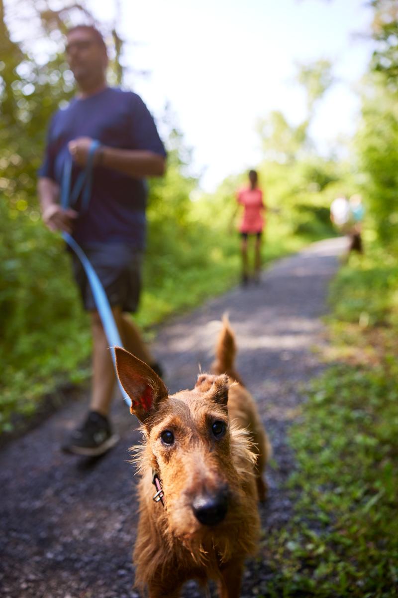 Explore the Cayuga-Seneca Canal Trail: Scenic, Peaceful, and Rich with ...