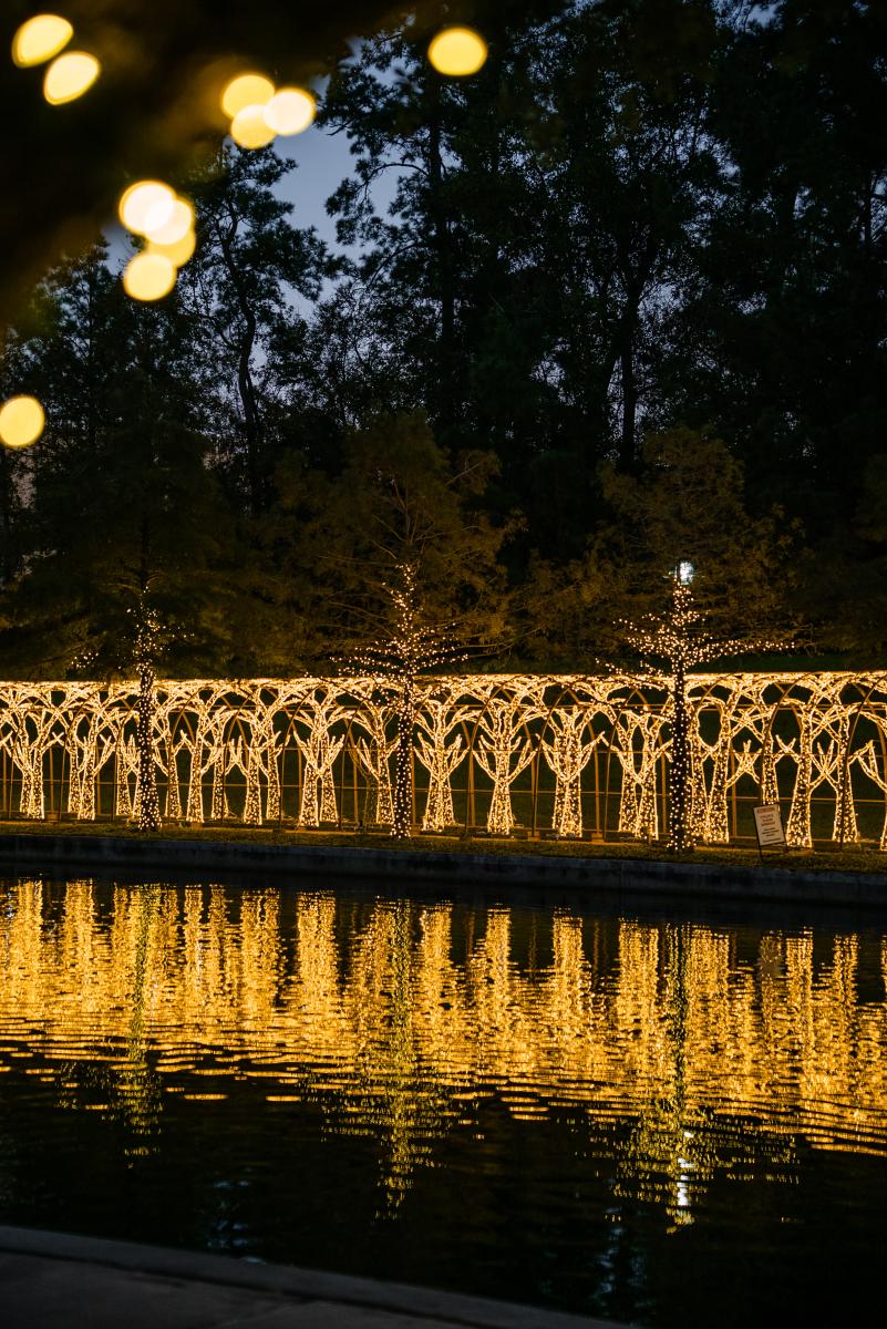 How It Began: Holiday on The Waterway | The Woodlands, TX