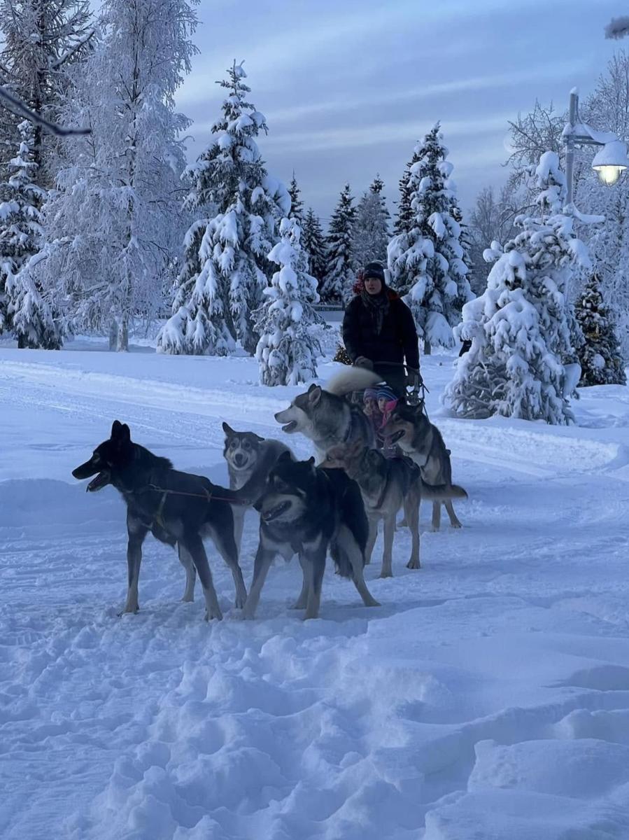 Winter Solstice Festival | Explore Fairbanks, Alaska