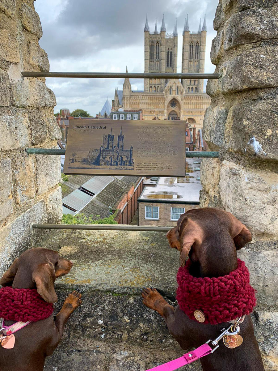 Dog friendly Lincoln | Visit Lincoln