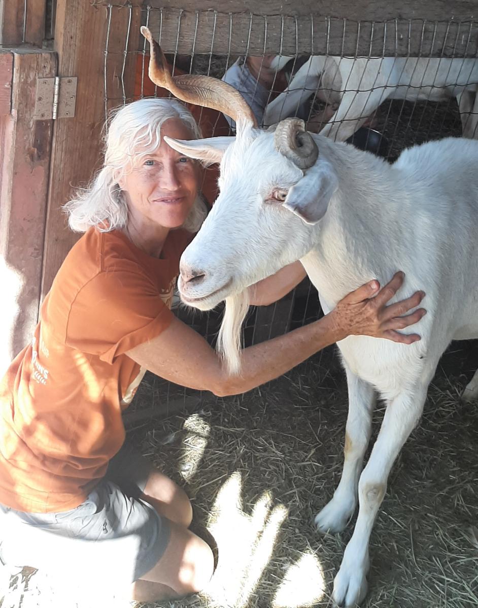 Fall Roaming the Kaw Valley Farm Tour