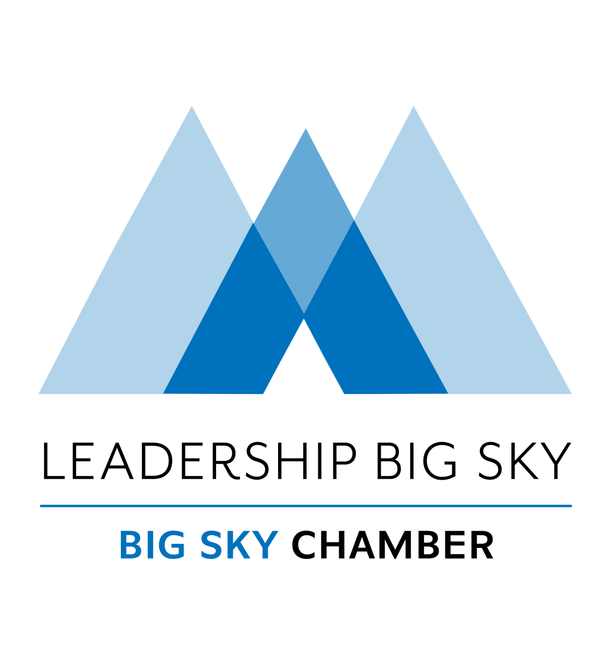 Leadership Big Sky Second Cohort