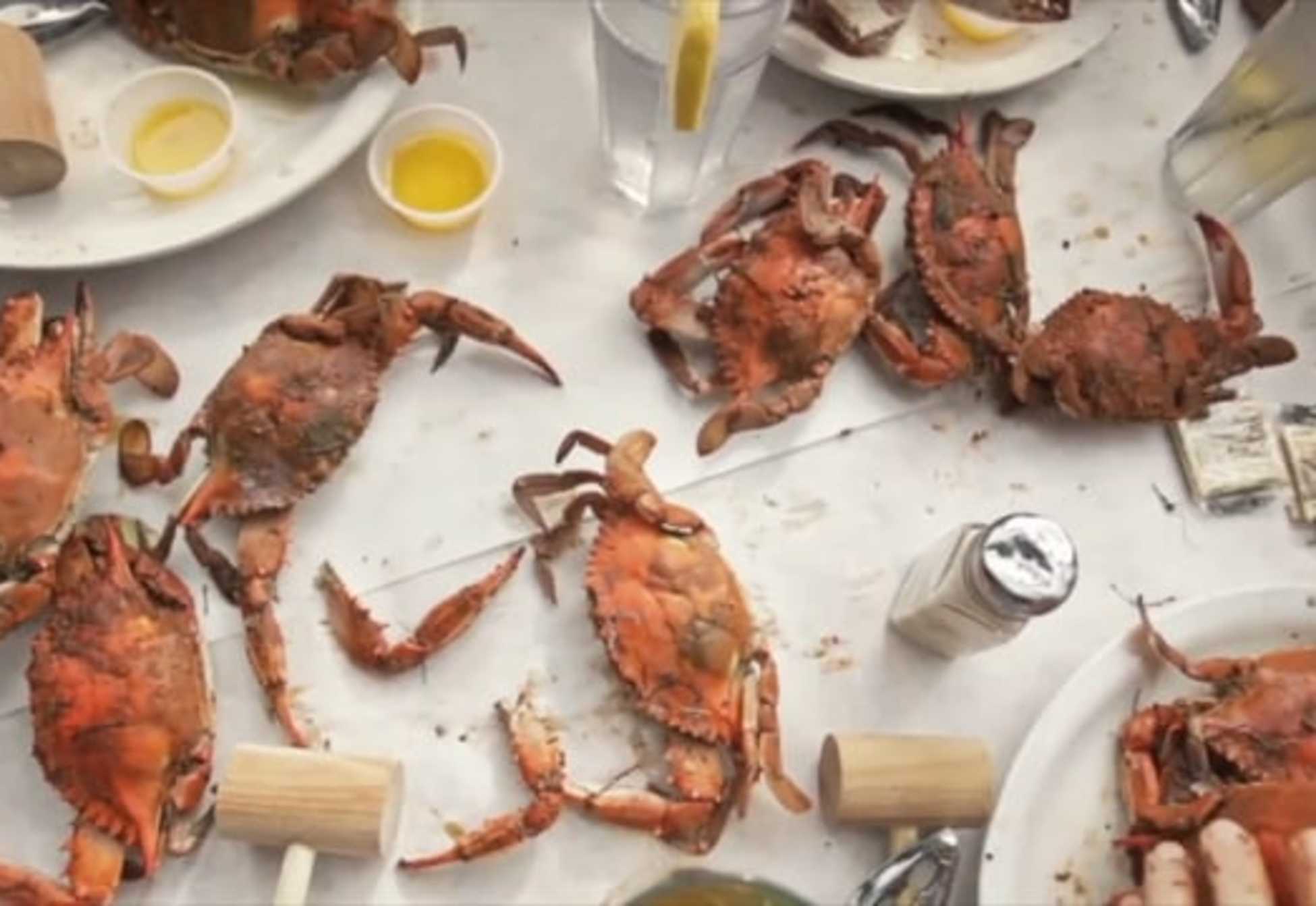 Virginia Beach Cuisine, Culinary Experiences & Events