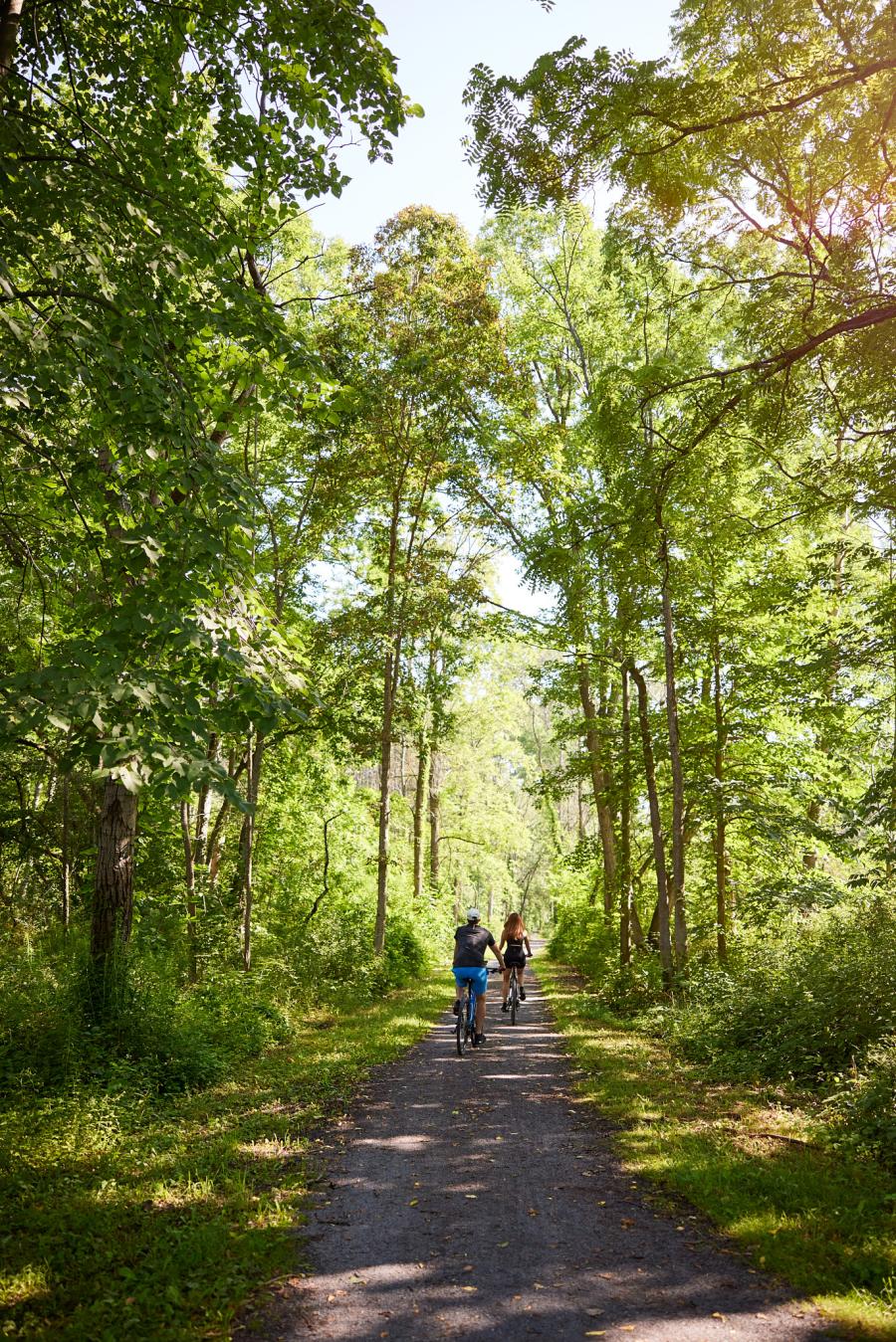The Erie Canal Turns 200: Four Things to do on the Cayuga-Seneca Canal