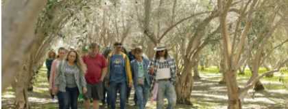 Temecula Olive Oil Company | Temecula, CA