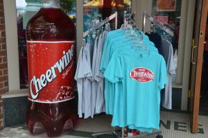 Your Guide to Cheerwine Festival