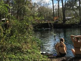 natural spring faversham