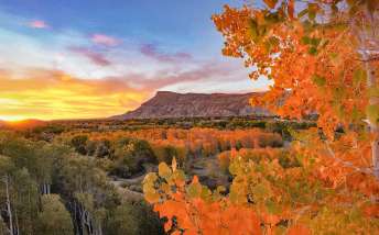 Grand Junction, Colorado Blog | Visit Grand Junction