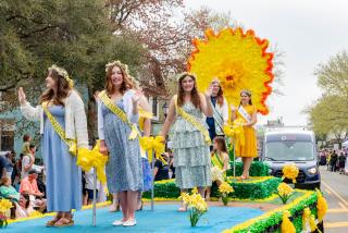 spring term festivals