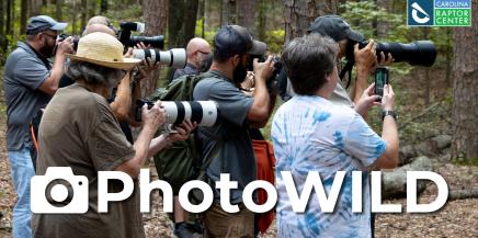 Carolina Raptor Center | Huntersville, NC 28078