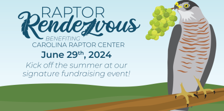 Carolina Raptor Center | Huntersville, NC 28078
