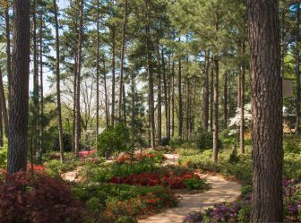 30 Can't-Miss Things to Do in Raleigh, N.C.