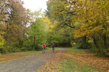 Cottage Grove Oregon | Official Visitor Information & Inspiration