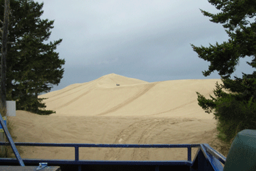 Dunes City Oregon | Official Visitor Information & Inspiration