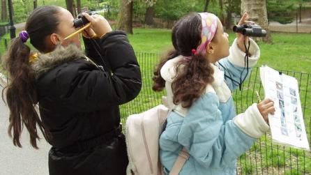 Birding in New York State | Binoculars | Species of Birds