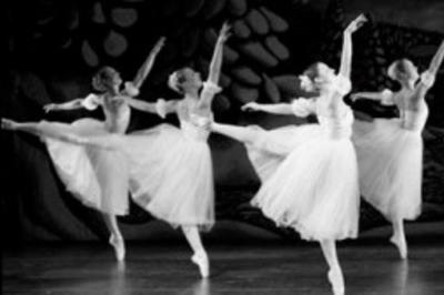 boulder performing arts school