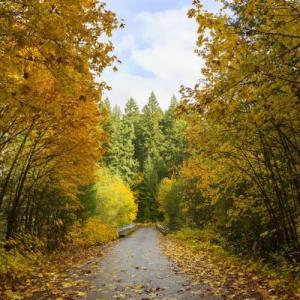 Guide to Oregon's Brilliant Fall Leaves | Eugene, Cascades & Oregon Coast
