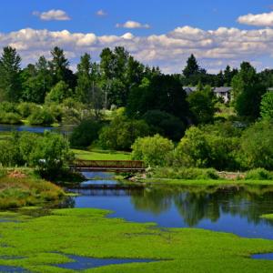 Eugene Oregon | Official Visitor Information & Inspiration