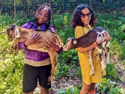 Have a Field Day: Farm Experiences in the Rockford Region