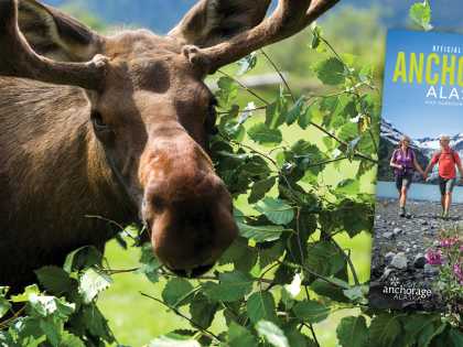 Plan Your Trip to Anchorage | Visit Anchorage