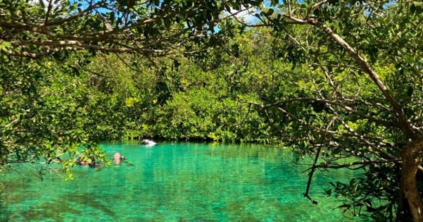25 cosas que hacer en Punta Cana ¡Vive una experiencia autentica!