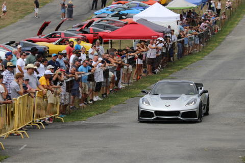 Corvettes at Carlisle