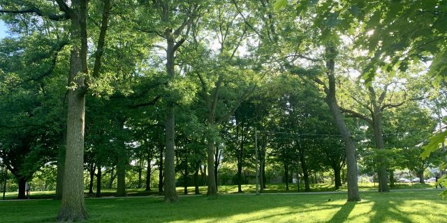 A Local’s Guide to The Danforth | Destination Toronto