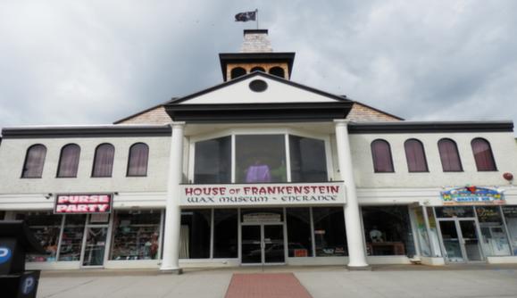 frankenstein museum