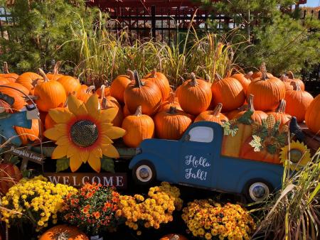 fall farm activities