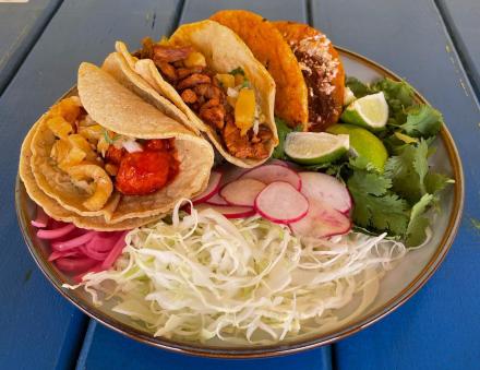 The Cuisine Scene - Savory Bites on the Go