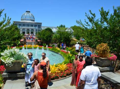 lewis ginter