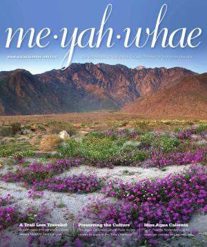 Native American Culture