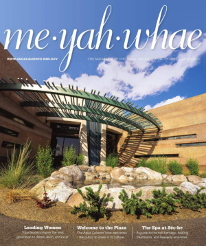 Native American Culture