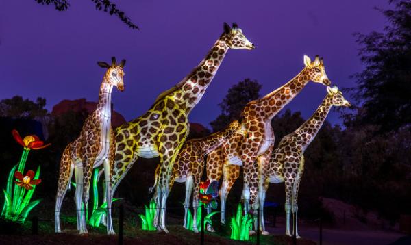 Things to Do in Phoenix This January 2026