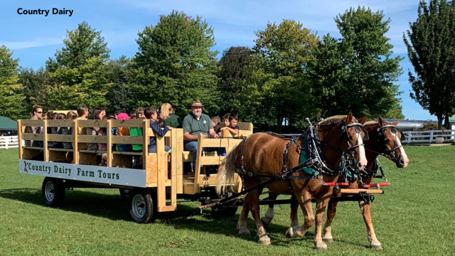 The Ultimate West Michigan Stay-Cation (Spring Break)