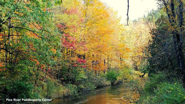 Experience the Fall Colors Across West Michigan