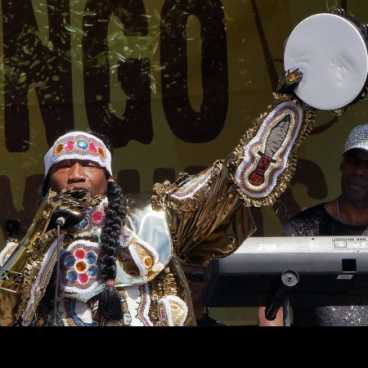 Tribal Gold ft. Big Chief Juan Pardo