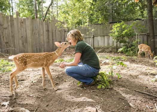 Attractions in Minocqua WI | Tours, Museums, Golf & The Zoo