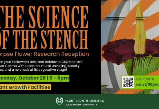 CSU'S Science of the Stench: Corpse Flower Event - What's Happenin'