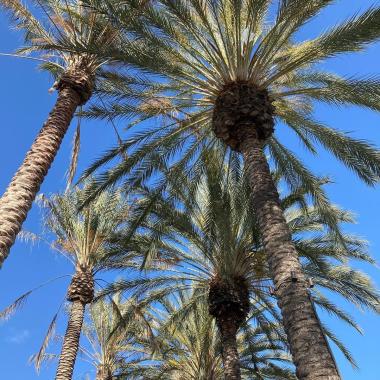 About Us | Visit Anaheim