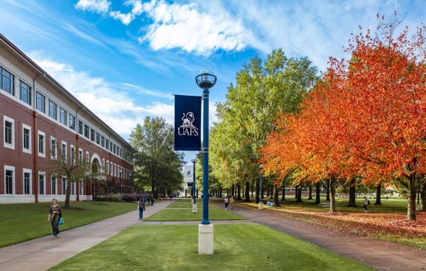 Discover the UAFS & Grand Avenue Region of Fort Smith, AR